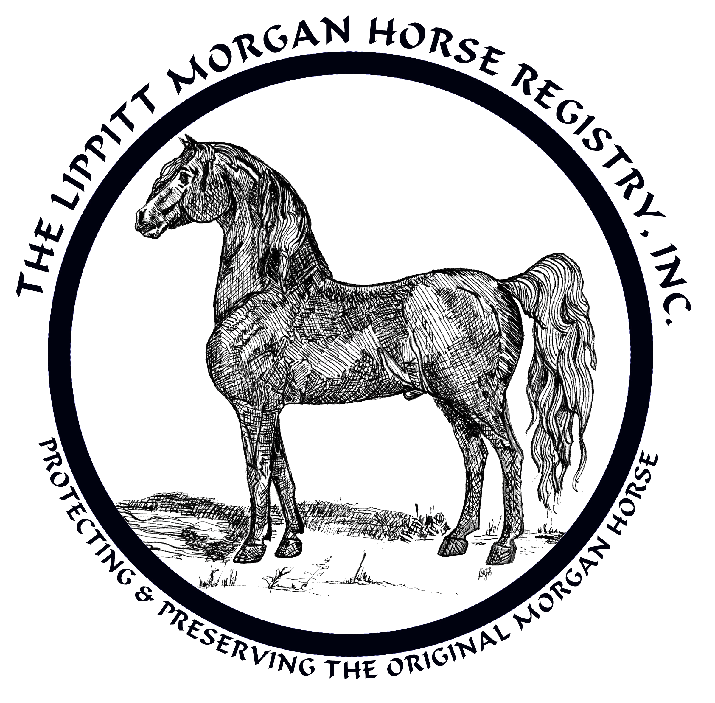 Lippitts For Sale/Stud